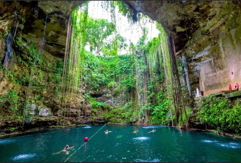 Cosa sono i cenotes: Origine, Formazione e Importanza Naturale